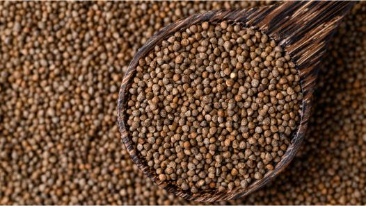 Perimine® - Perilla Seed Extract | Metagenics