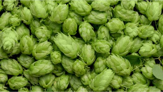 Kaprex® | Joint Comfort & Health Supplement | Metagenics