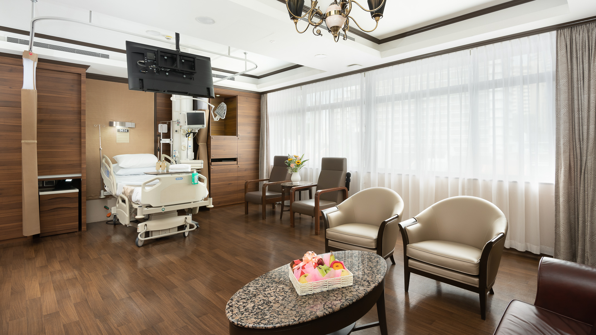 VIP Room (Orchard) - Private Room | Mount Elizabeth Hospitals