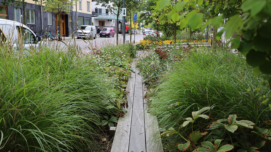 Bringing biodiversity to Stockholm - Ramboll