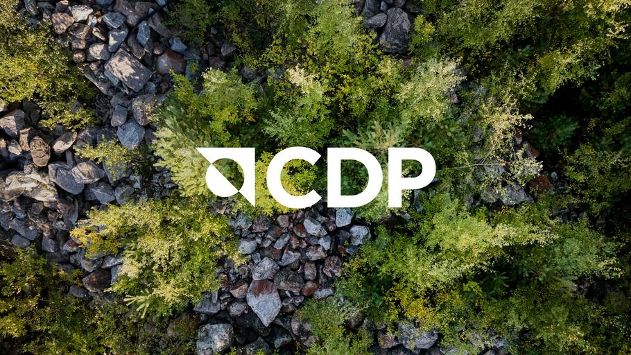 Ramboll joins prestigious ‘A list’ rating in CDP’s 2024 climate change ...