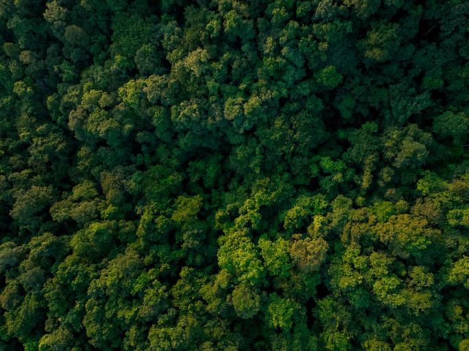 Harmonising the EU sustainability regulations: how to retain value in ... Harmonising the EU sustainability regulations: how to retain value in ...