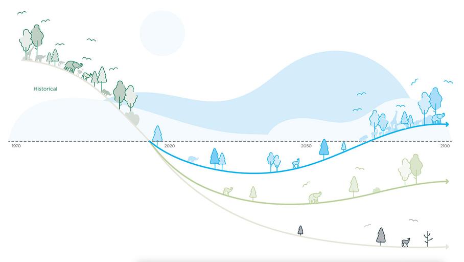 Only one Earth: Enabling transformative change to stay within our ...