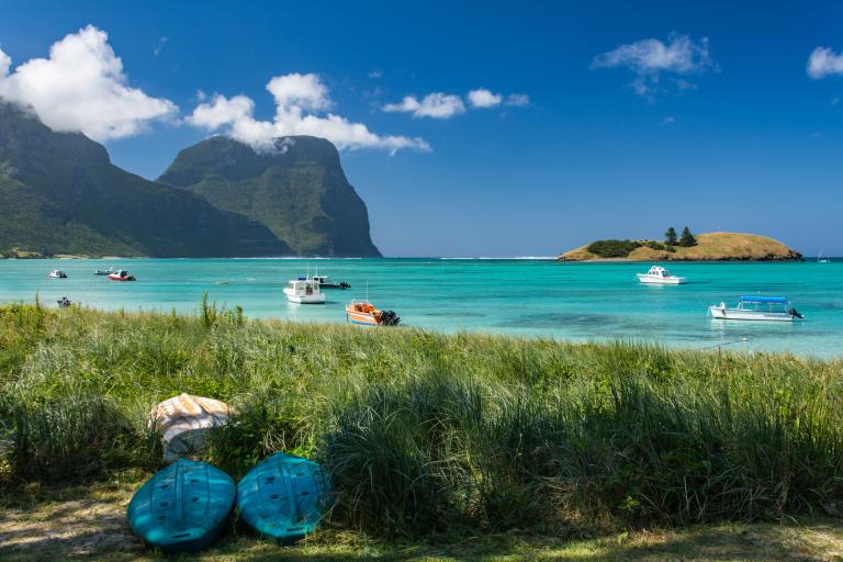 Lord Howe Island: endangered species thrive after rodent eradication ...