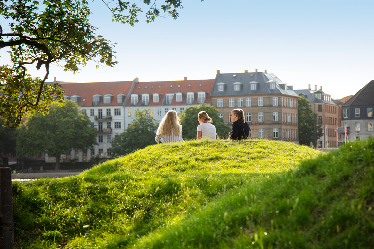 Our fundamentals - Ramboll group