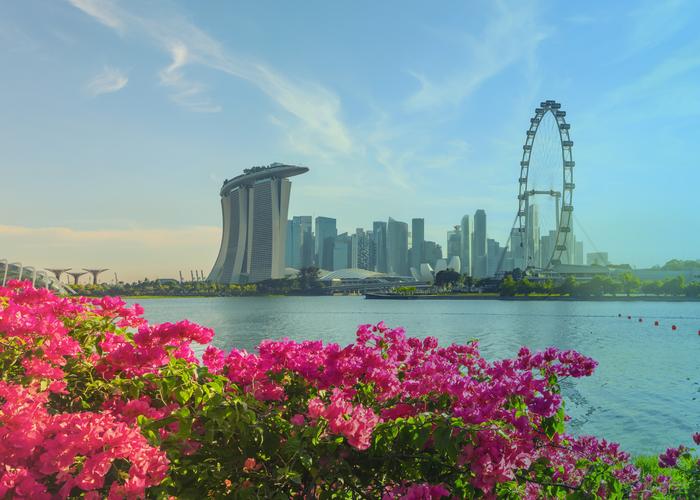 International Advisory and Fiduciary Services | KENDRIS