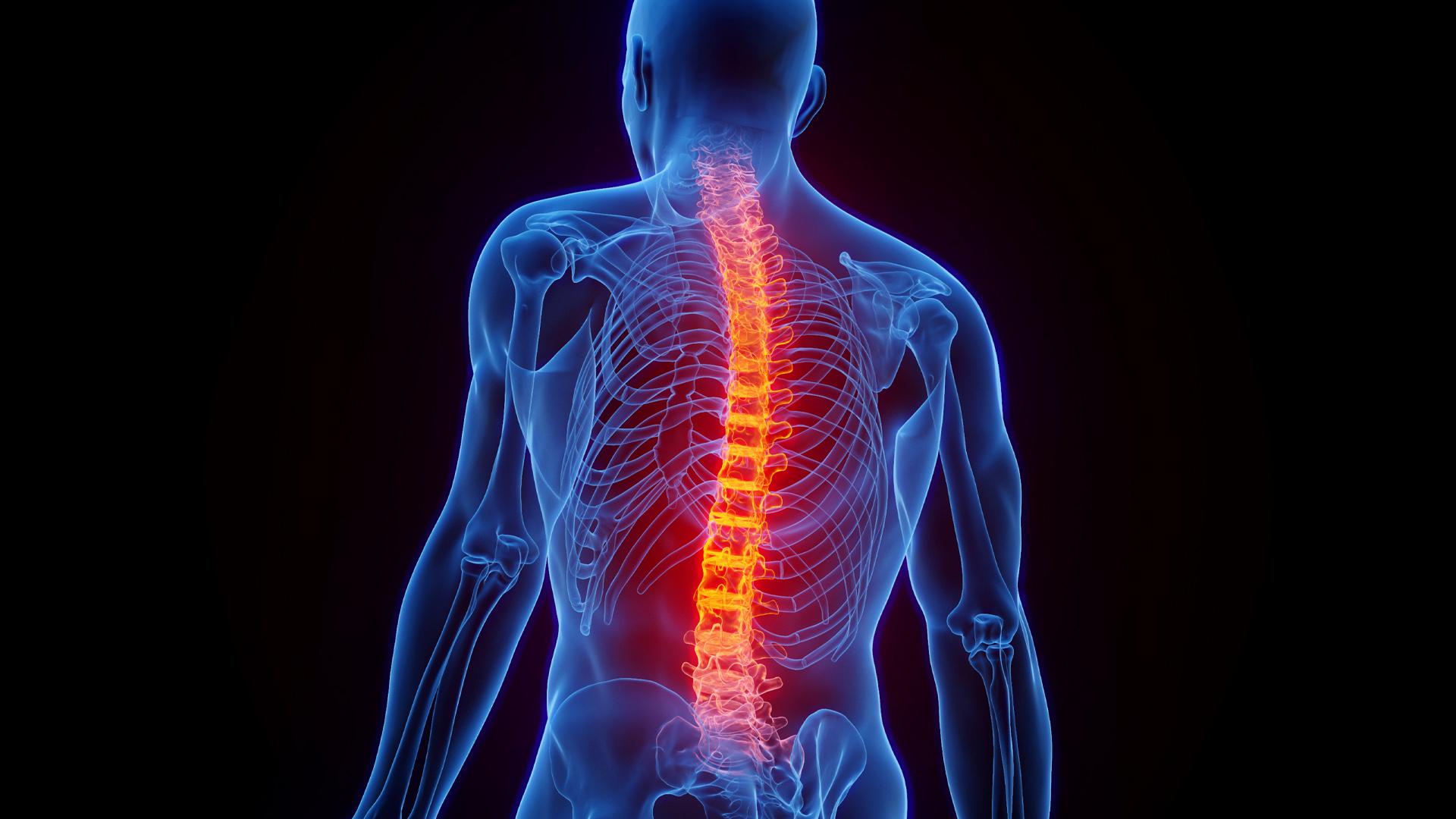 Spine Health | Mount Elizabeth Hospitals