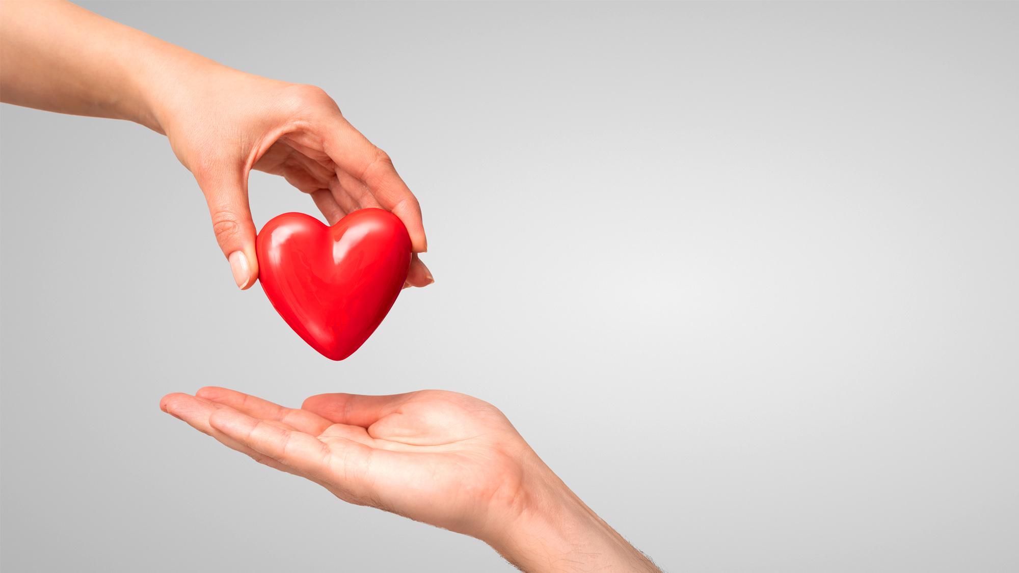 Transplant | Mount Elizabeth Hospitals