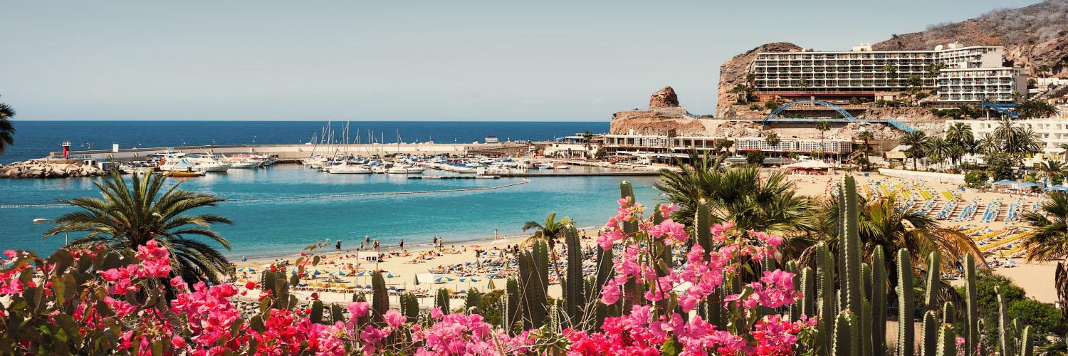 Cheap Flights to the Canary Islands | Book with Condor Now