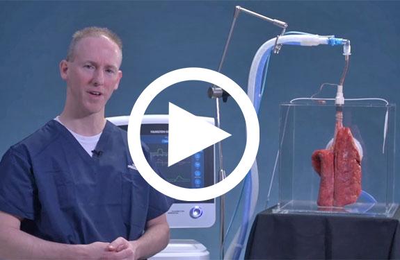 Setting PEEP using transpulmonary pressure measurement