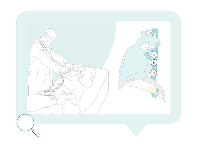 Ventilation quiz answers | Hamilton Medical