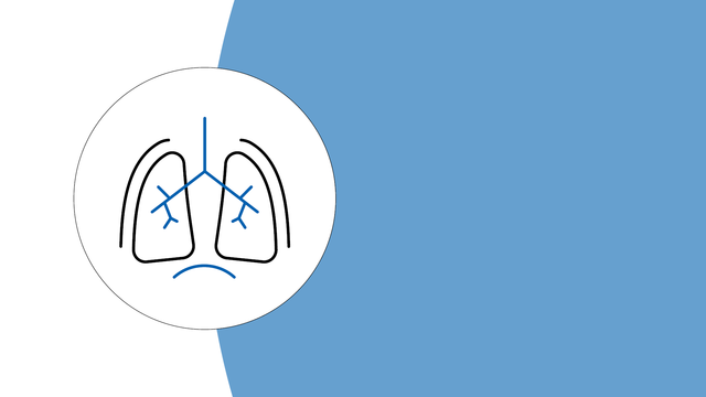 HAMILTON-G5/S1 training