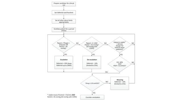Adjusting the %MinVol in ASV mode | Hamilton Medical