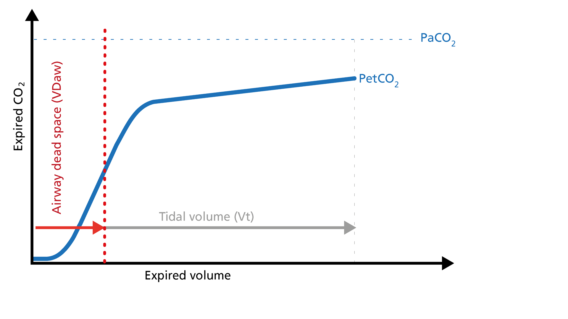 Basics of volumetric capnography - Part 2: Single breath CO2 analysis | Hamilton Medical