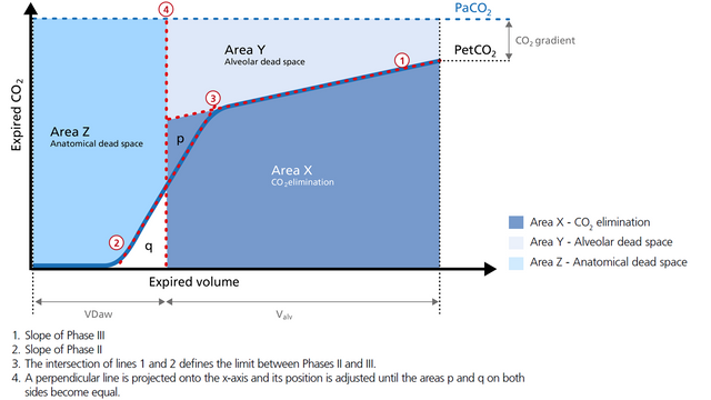 Basics of volumetric capnography - Part 2: Single breath CO2 analysis | Hamilton Medical