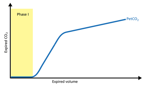 Basics of volumetric capnography - Part 1: Benefits and volumetric ...