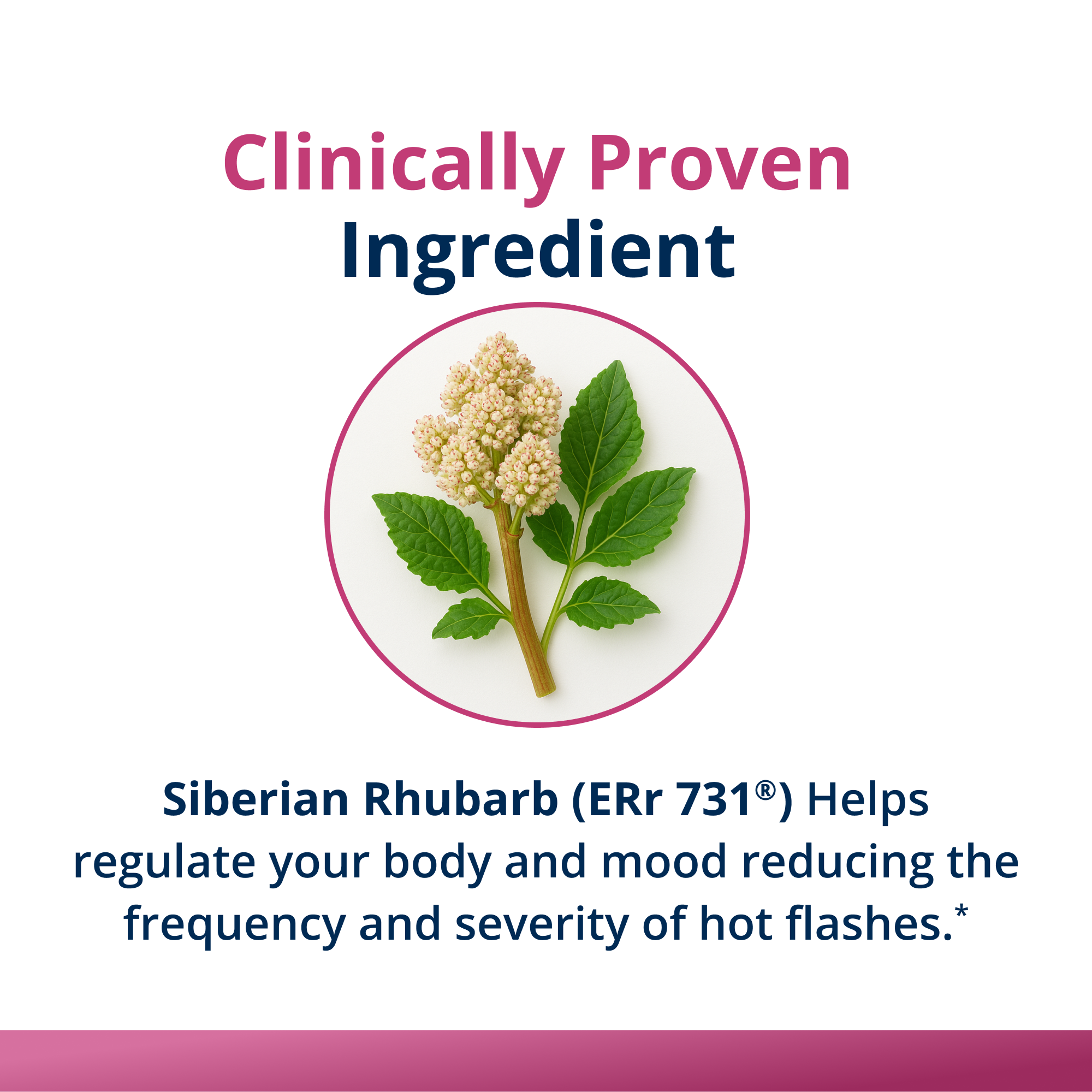 HerWellness™ Estrovera® Perimenopause & Menopause Relief | Metagenics