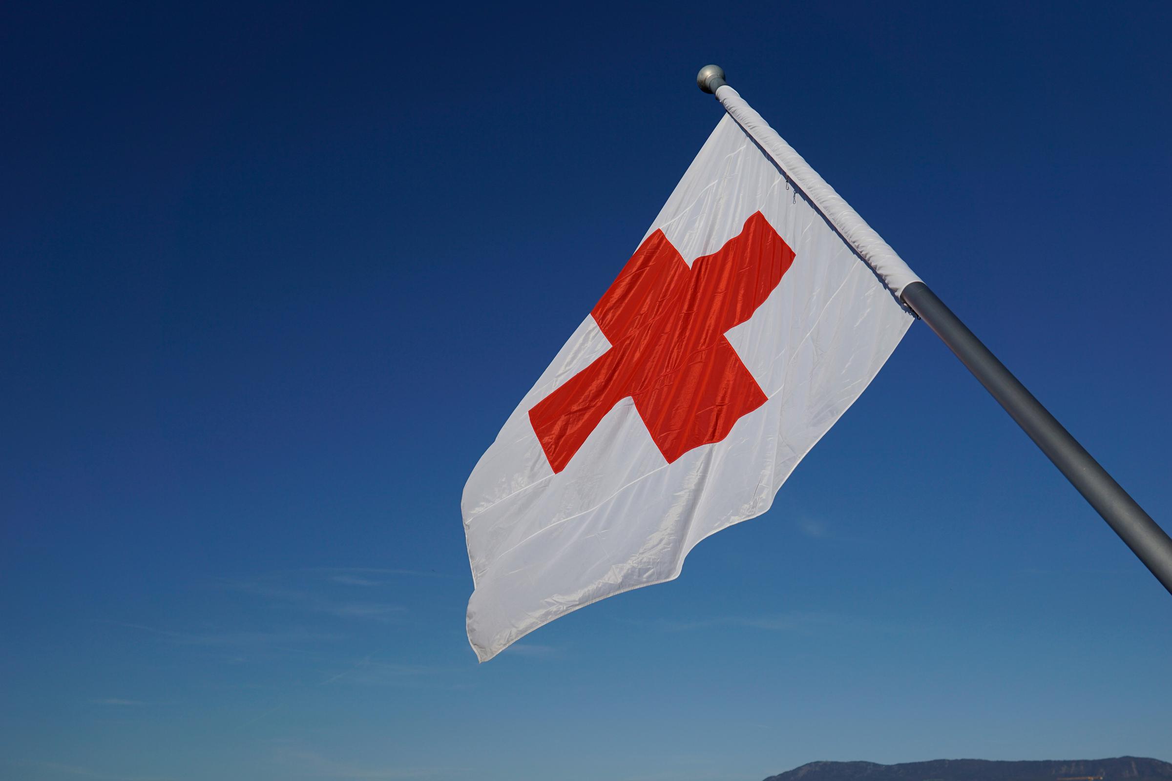 Gouvernance, organisations et institutions de la Croix-Rouge | CRS