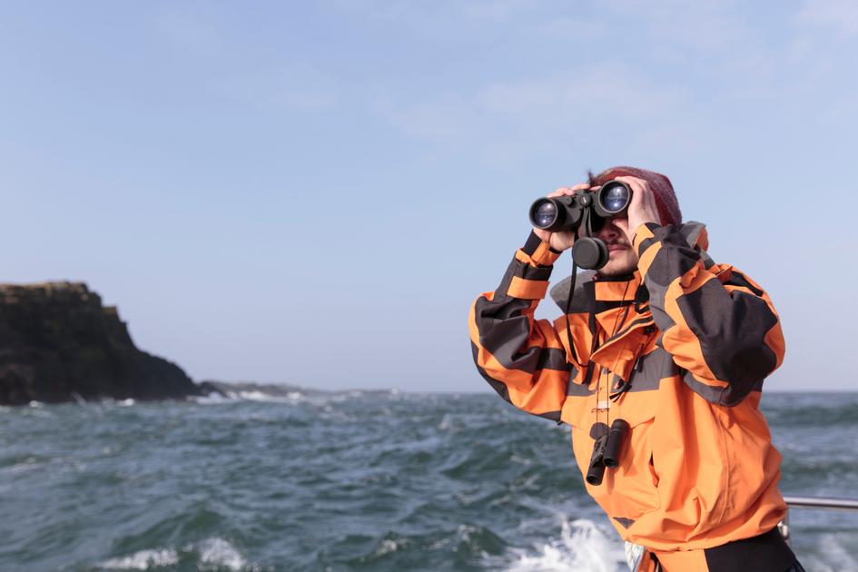 Our Aquatic Environment: Icons of Irish Seas